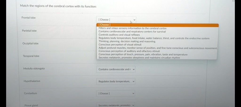Match the regions of the cerebral cortex with its function: Frontal ...