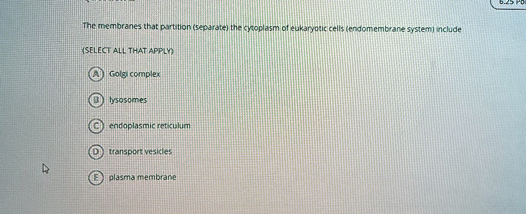 The membranes that partition (separate) the cytoplasm of eukaryotic cells (endomembrane system ...
