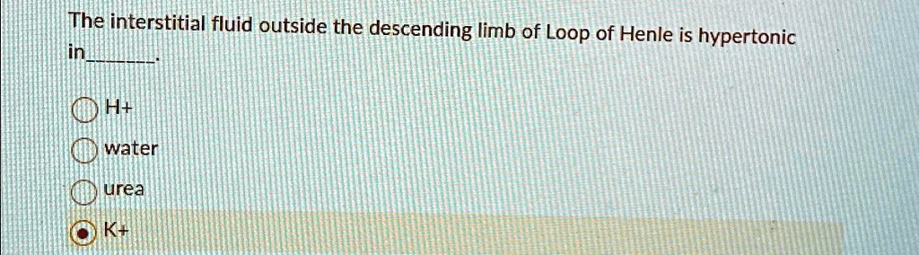SOLVED: The interstitial fluid outside the descending limb of Loop of ...