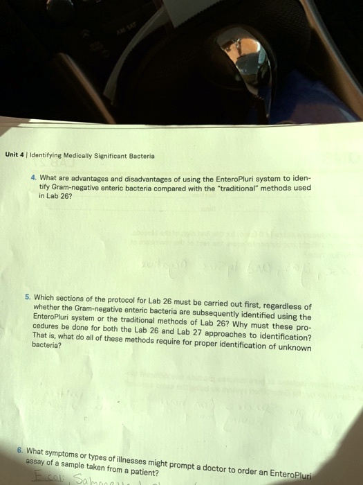 Unit 4 | Identifying Medically Significant Bacteria 4. What are ...