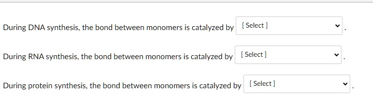 During DNA synthesis, the bond between monomers is catalyzed by [Select] During RNA synthesis ...
