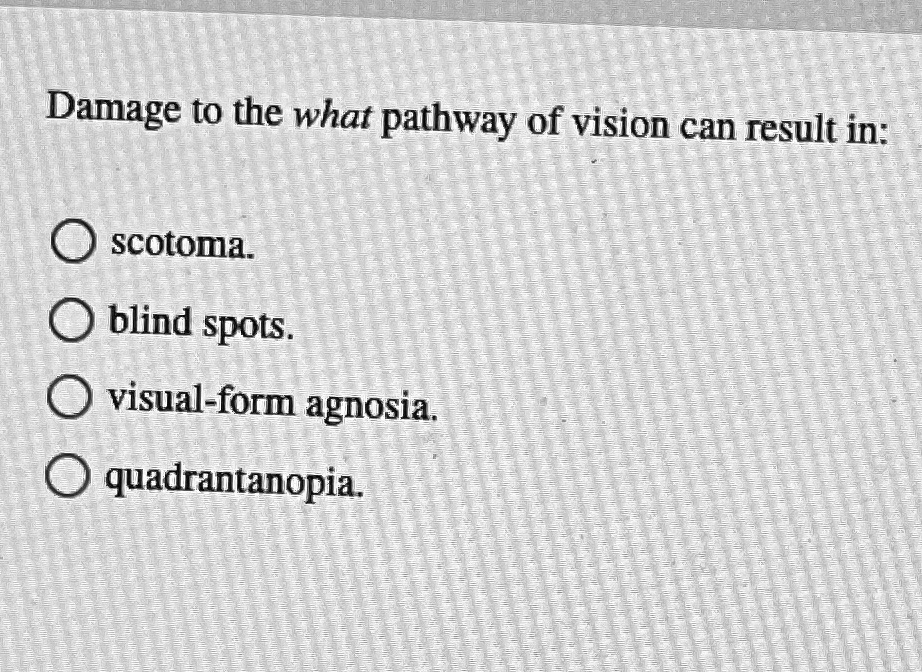 Damage to the what pathway of vision can result in: scotoma. blind ...
