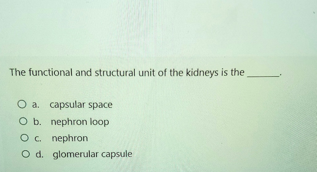 The functional and structural unit of the kidneys is the a. capsular ...