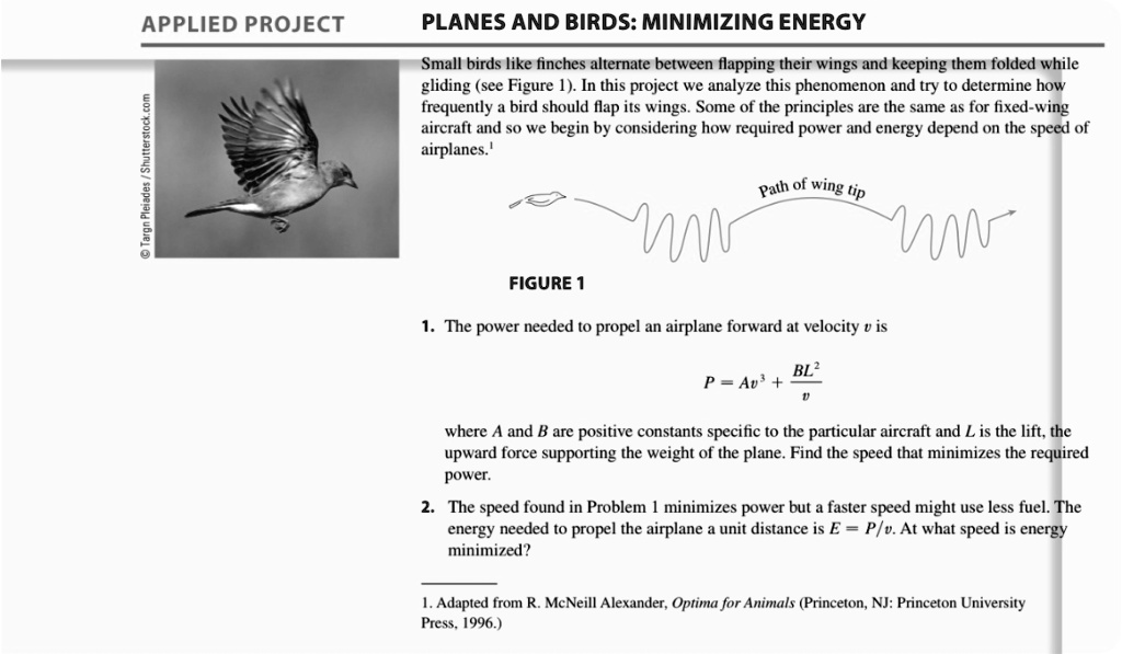 APPLIED PROJECT PLANES AND BIRDS: MINIMIZING ENERGY Small birds like ...