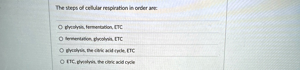 the steps of cellular respiration in order are o glycolysis ...