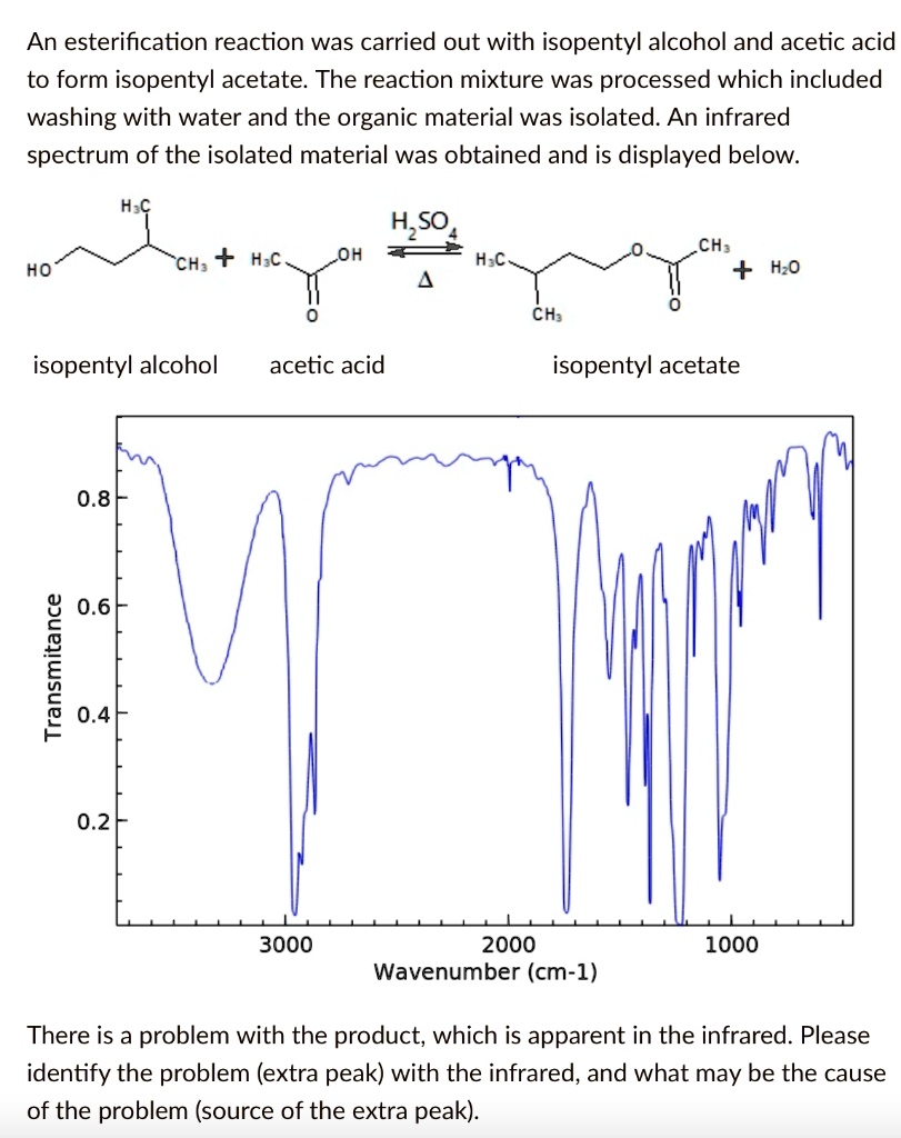 SOLVED: An esterification reaction was carried out with isopentyl ...