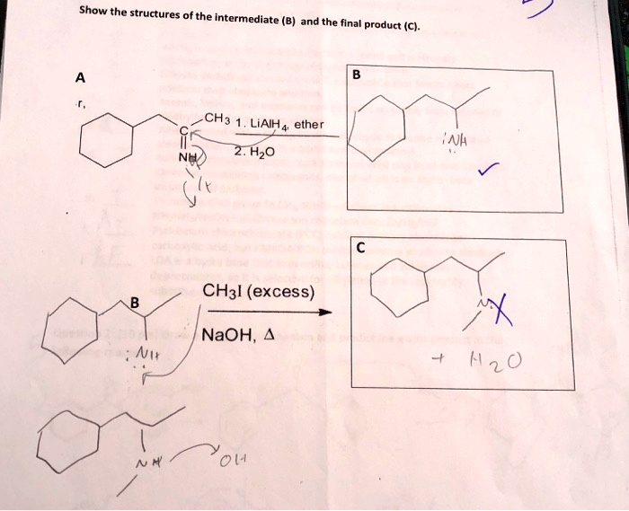 SOLVED: Show the structures of the intermediate (B) and the final ...
