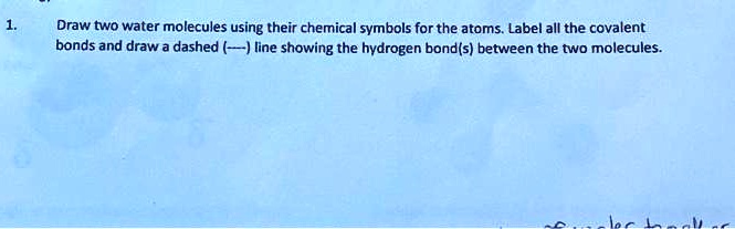 SOLVED: 1 Draw two water molecules using their chemical symbols for the ...