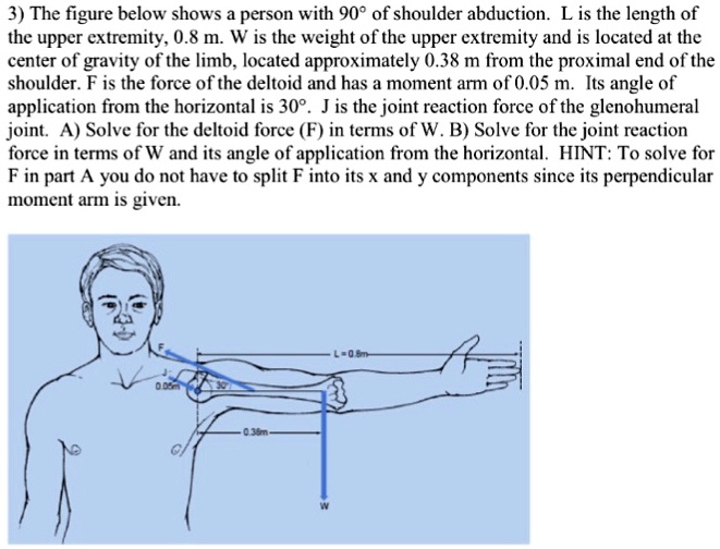 3) The figure below shows a person with 90° of shoulder abduction. L is ...