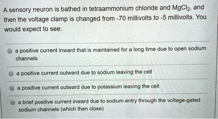 a sensory neuron is bathed in tetraammonium chloride and mgclz and then ...