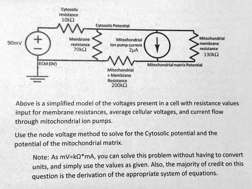 Above is a simplified model of the voltages present in a cell with resistance values input for ...