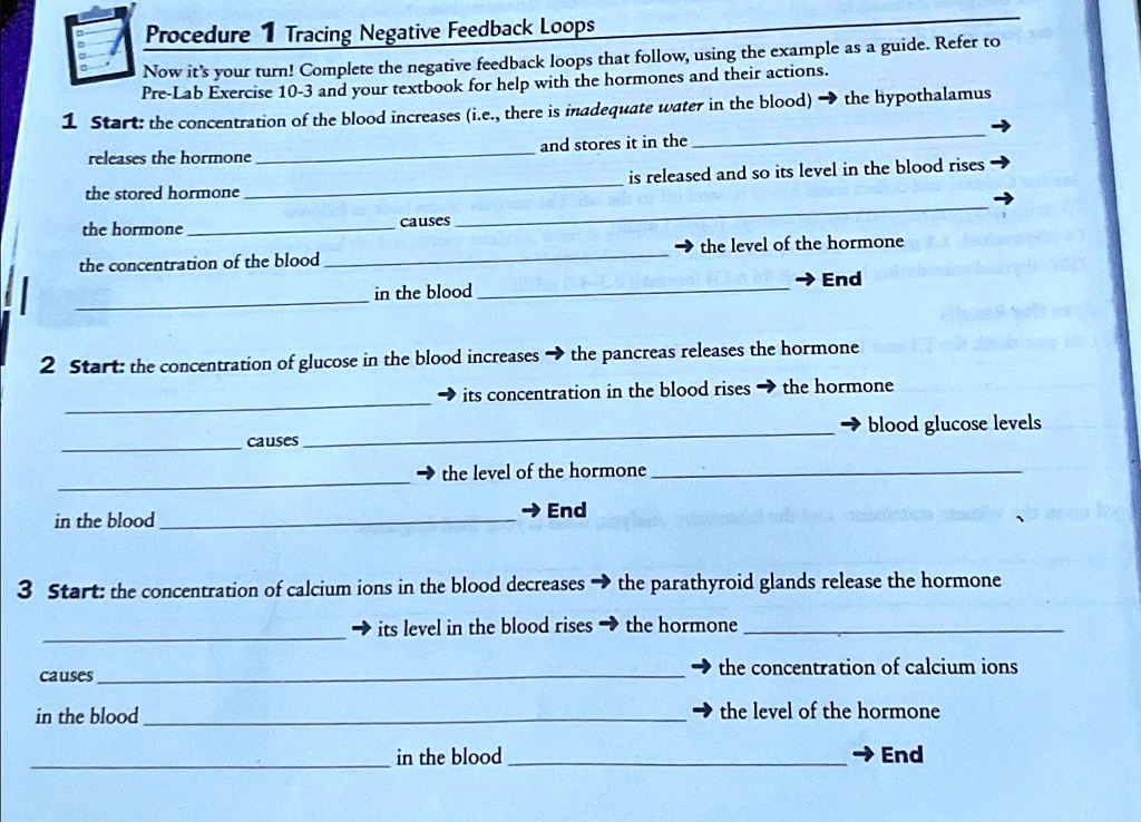 Procedure 1 Tracing Negative Feedback Loops Now it's your turn! Complete the negative feedback ...