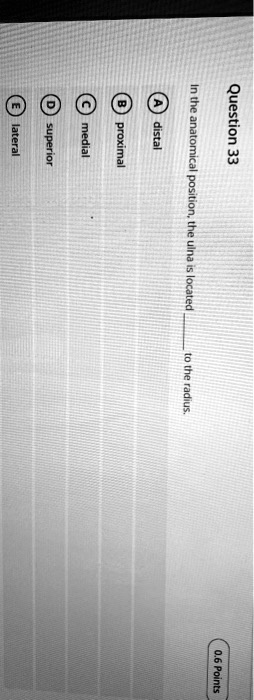 SOLVED: Lateral, superior, medial, proximal, distal. Question 33: In ...
