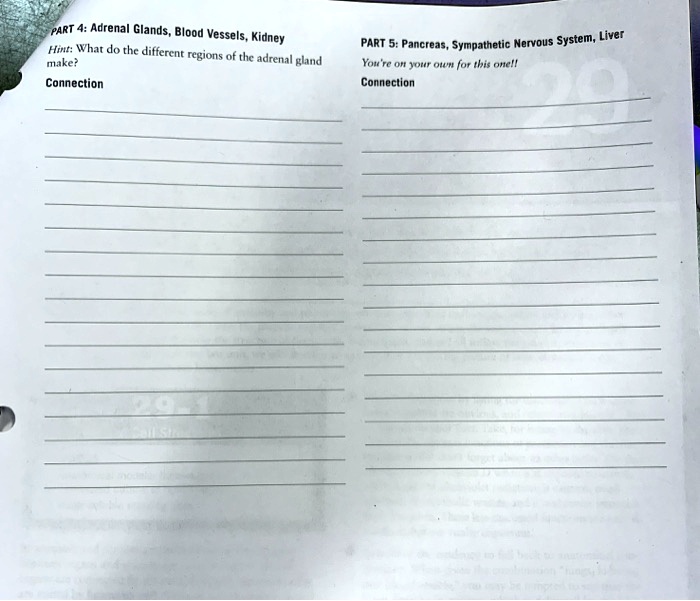 SOLVED: PART 4: Adrenal Glands, Blood = Vessels Kidney Hrt: What do thc ...