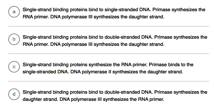 SOLVED: Single-strand binding proteins bind t0 single-stranded DNA ...