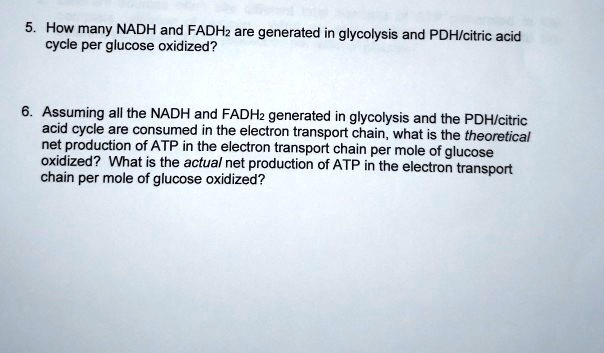 SOLVED: How many NADH and FADH2 are generated in glycolysis and PDH/citric acid cycle per ...