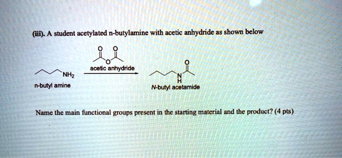 SOLVED: (i): student acetylated n-butylamine with acetic anhydride as ...