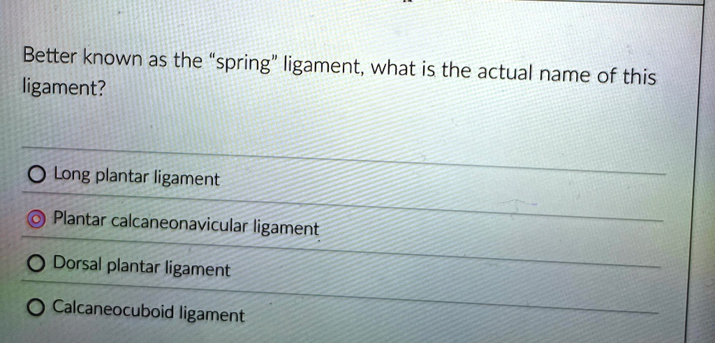 better known as the spring ligament what is the actual name of this ...