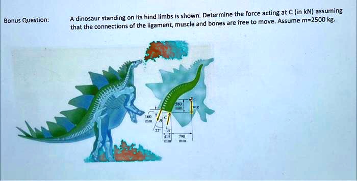 Bonus Question: A dinosaur standing on its hind limbs is shown ...