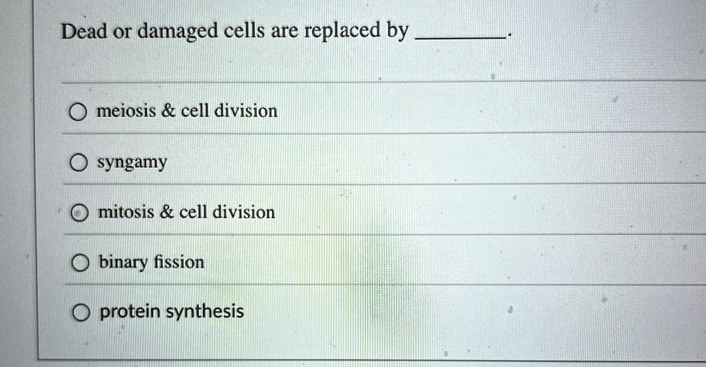 Dead or damaged cells are replaced by meiosis cell division syngamy ...