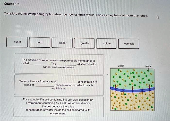 Osmosis Complete the following paragraph to describe how osmosis works ...