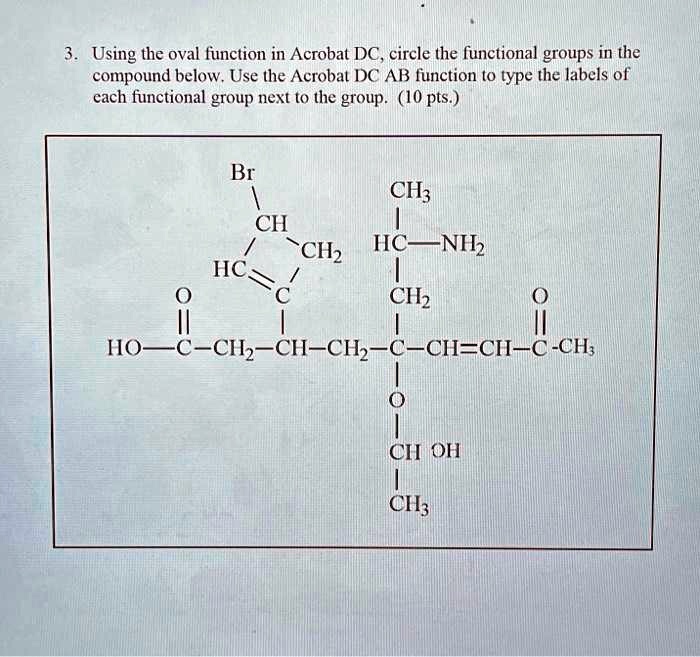 SOLVED: Texts: Use the Acrobat DC AB function to type the labels of each functional group next ...
