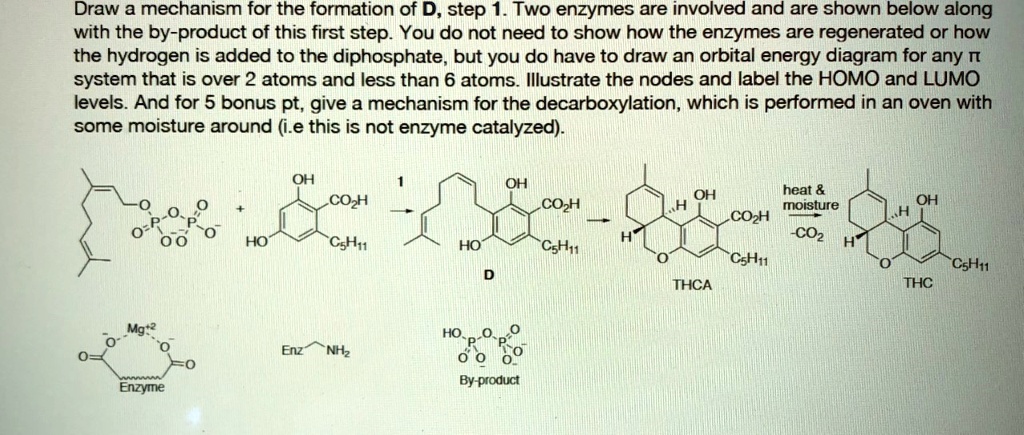 SOLVED: Draw a mechanism for the formation of D, step 1. Two enzymes ...
