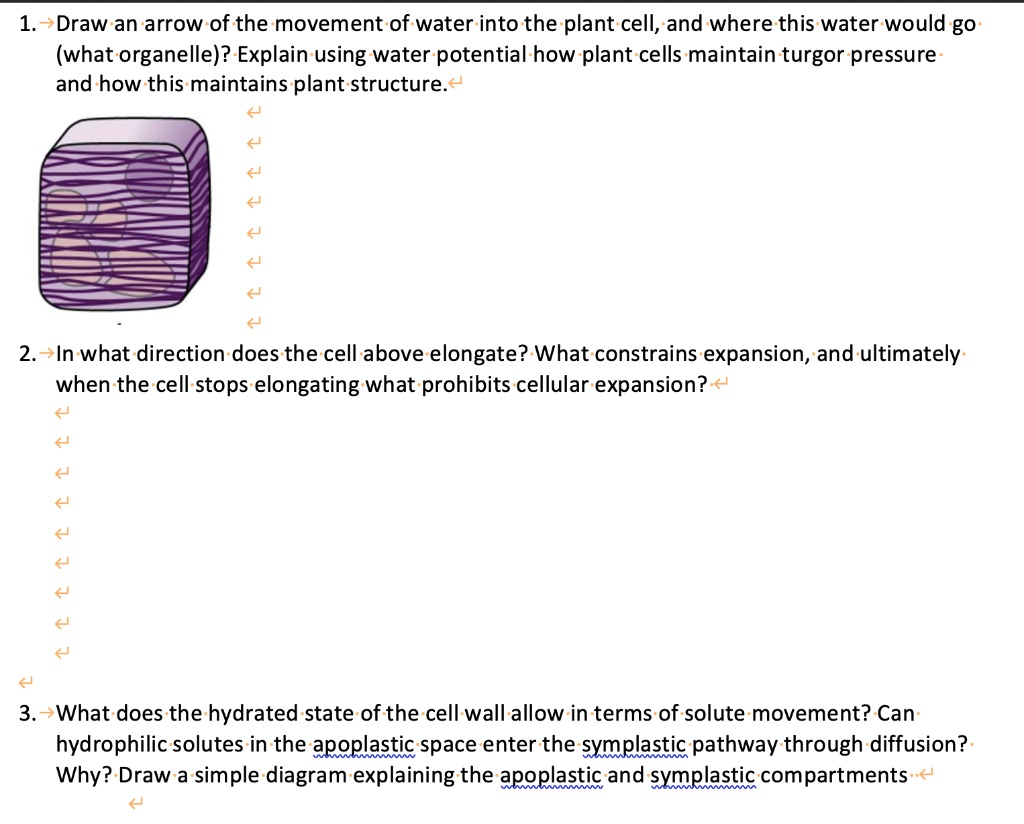 SOLVED: Draw an arrow of the movement of water into the plant cell, and ...