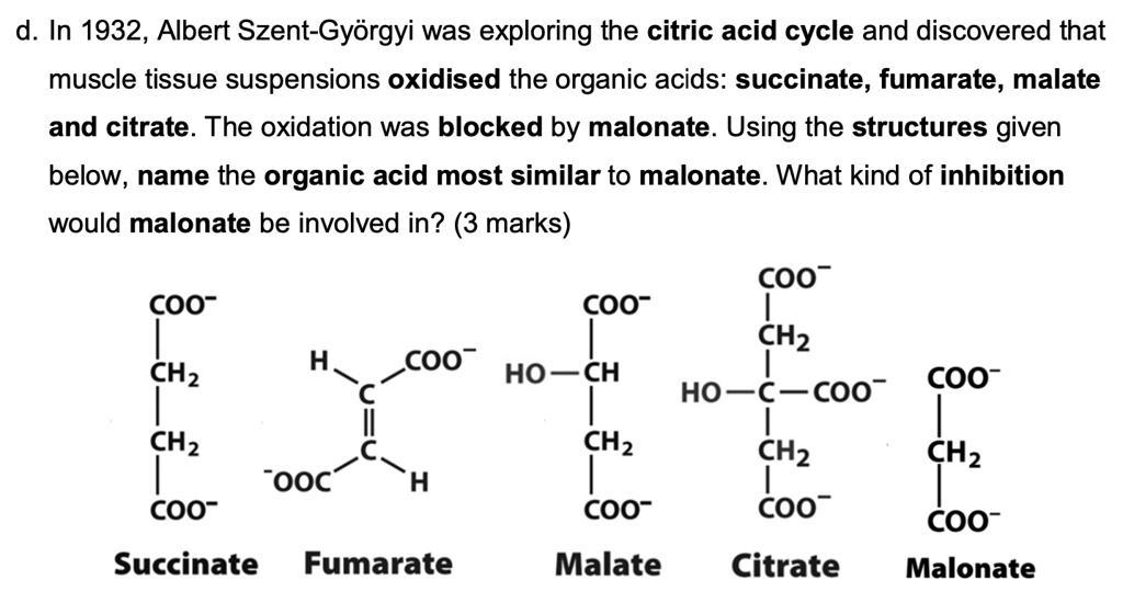 SOLVED: In 1932, Albert Szent-Gyorgyi was exploring the citric acid ...