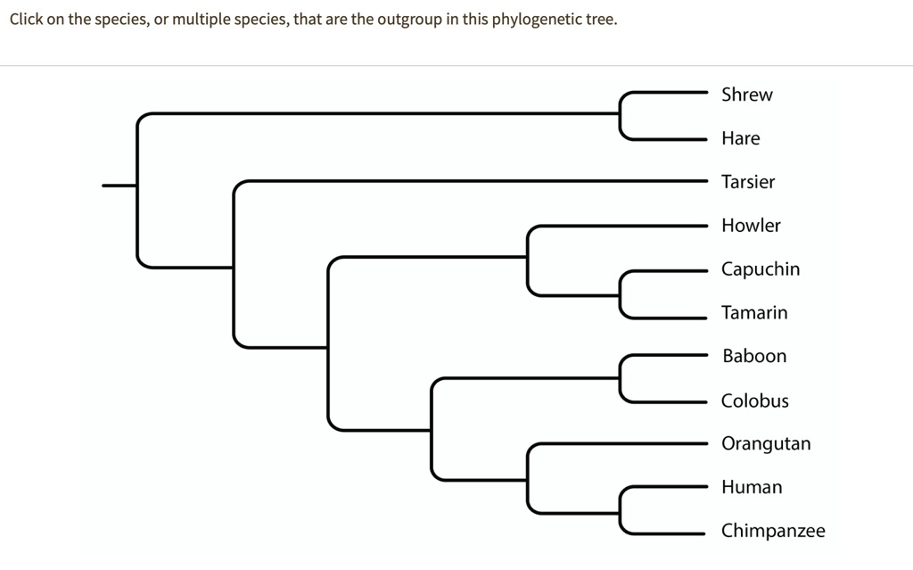 SOLVED: Click on the species; or multiple species, that are the ...