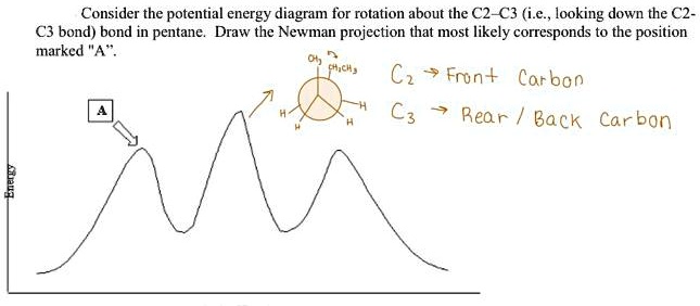 consider the potential energy diagram for rotation about the c2 c3 ie ...