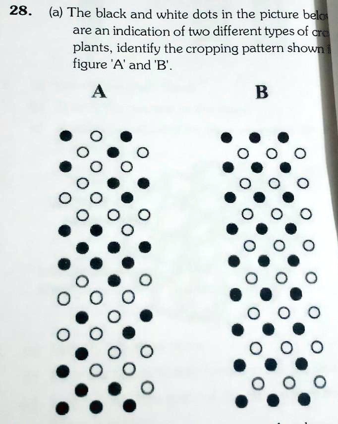 28. (a) The black and white dots in the picture below are an indication ...