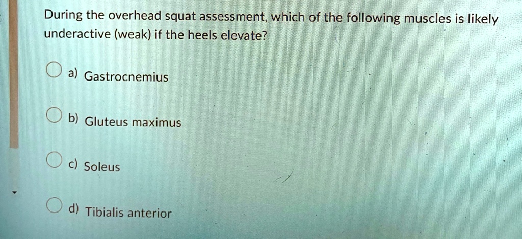 during the overhead squat assessment which of the following muscles is ...