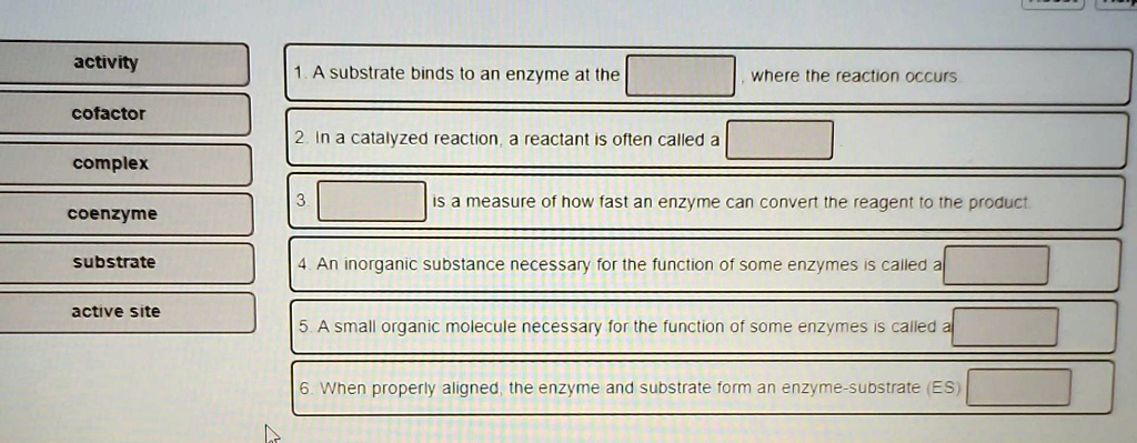 Activity 1 A Substrate Binds To An Enzyme At The Where The Reaction Occurs Cofactor 2 In A