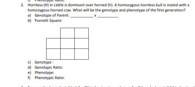 2. Hornless (H) in cattle is dominant over horned (h). A homozygous ...