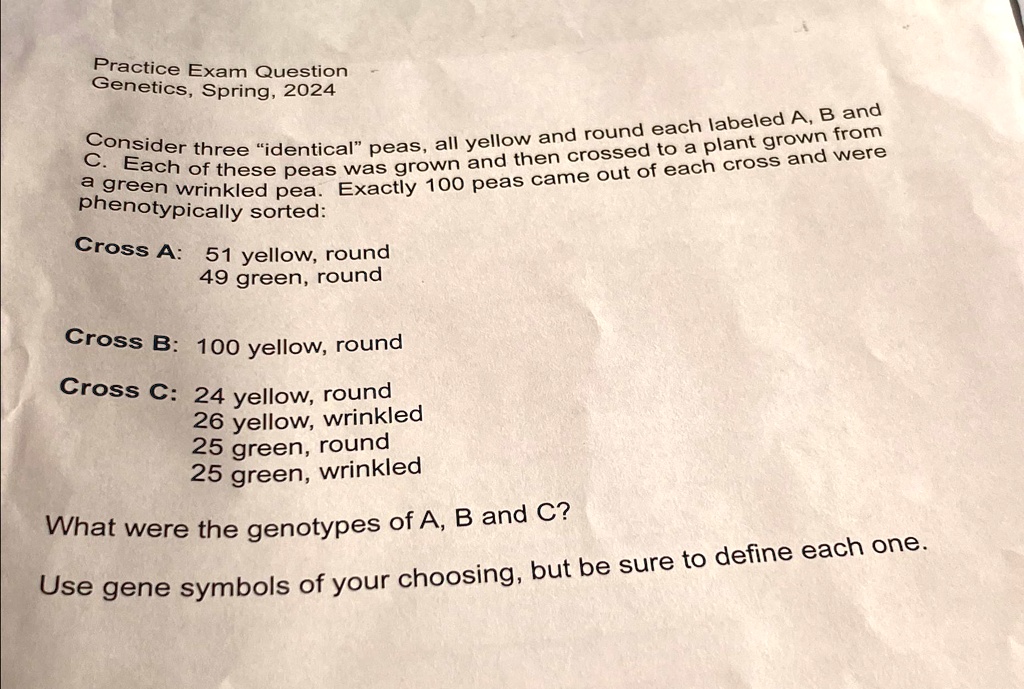 practice exam question genetics spring 2024 consider three identical ...