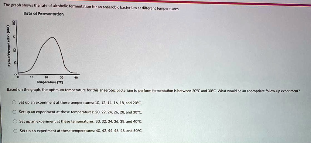 The graph shows the rate of alcoholic fermentation for an anaerobic ...