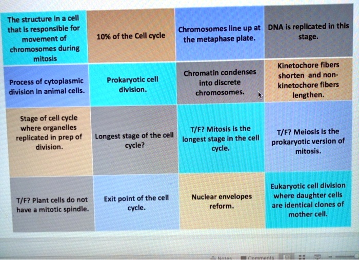 SOLVED: The structure In cell that is responsible for movement of ...