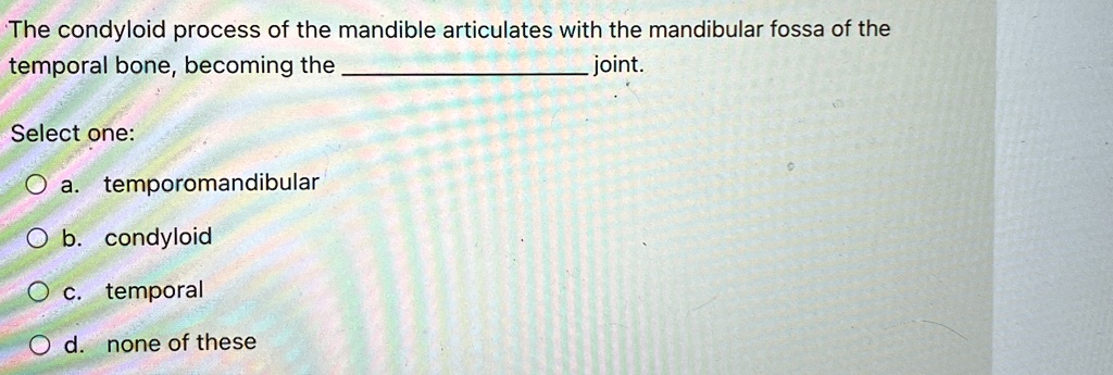 the condyloid process of the mandible articulates with the mandibular ...