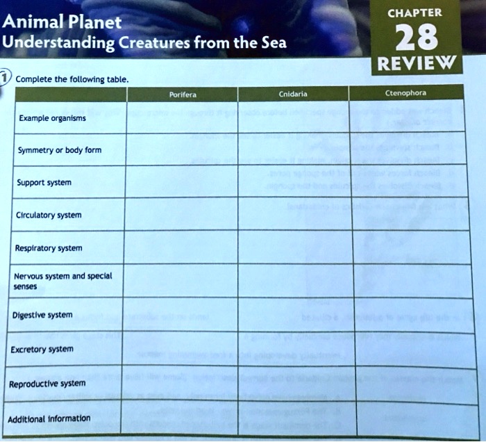 CHAPTER 28 REVIEW Animal Planet: Understanding Creatures from the Sea ...