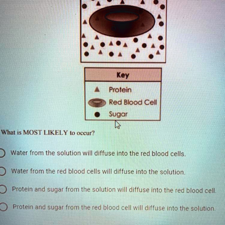 A red blood cell is placed into an aqueous solution. The red blood cell ...