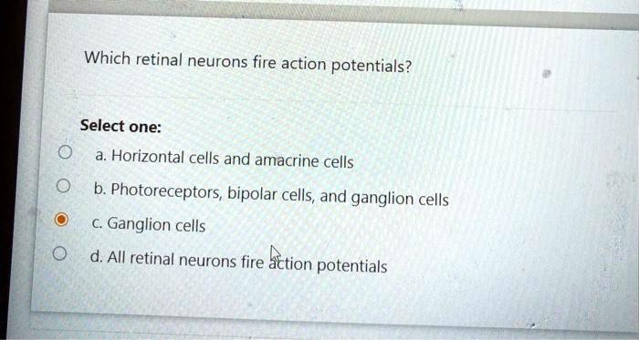 SOLVED: Which retinal neurons fire action potentials? Select one ...