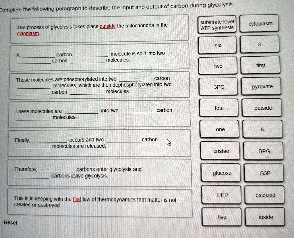 Complete the following paragraph to describe the input and output of carbon during glycolysis ...