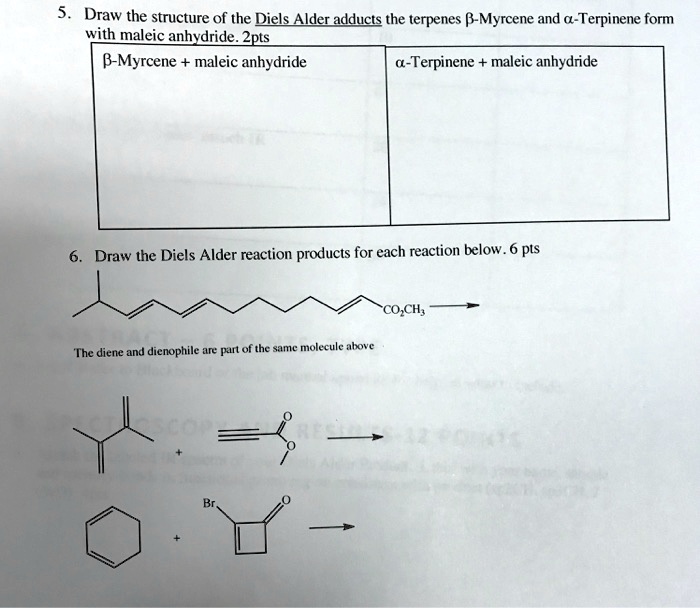 5. Draw the structure of the Diels Alder adducts the terpenes ?-Myrcene and ?-Terpinene form ...