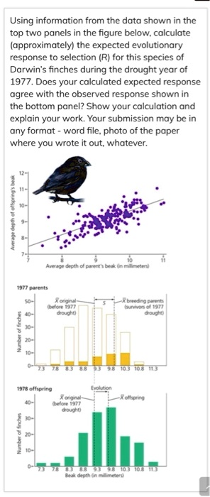 SOLVED:Using information from the data shown in the top two panels in ...
