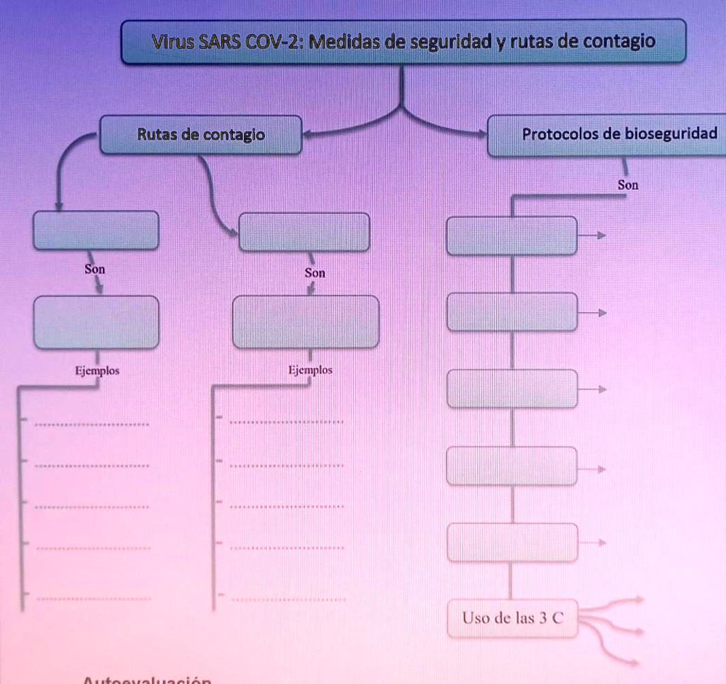 SOLVED: ayudenme a resolverlo :c Virus SARS COV-2: Medidas de seguridad ...