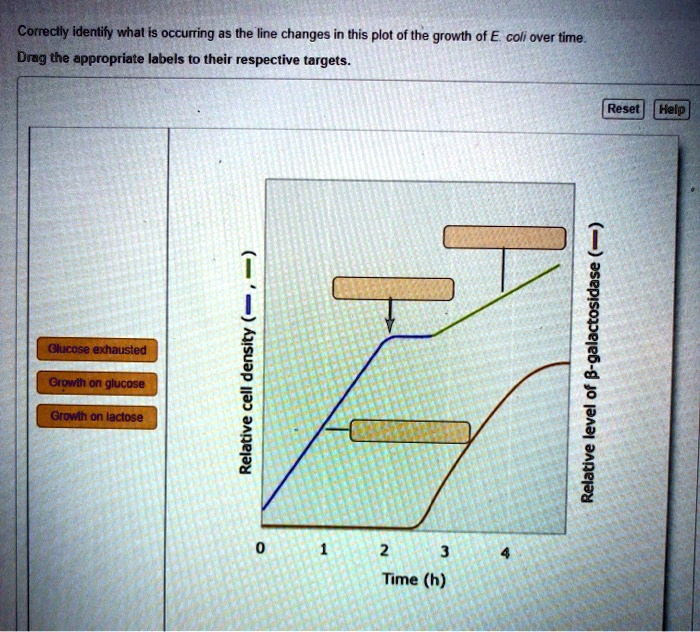 SOLVED: Correctly identify whal is occurring as the line changes in ... SOLVED: Correctly identify whal is occurring as the line changes in ...
