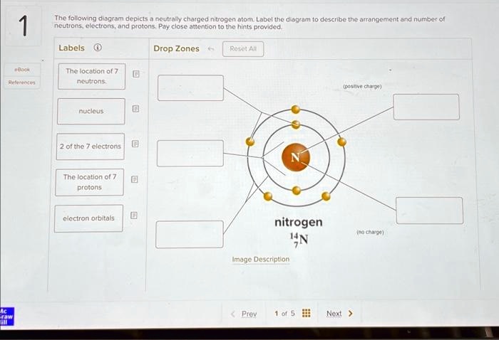 1 The following diagram depicts a neutrally charged nitrogen atom ...
