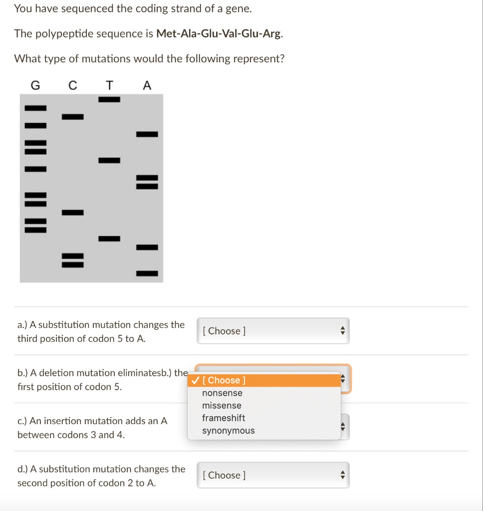 SOLVED: You have sequenced the coding strand of a gene. The polypeptide sequence is Met-Ala-Glu ...
