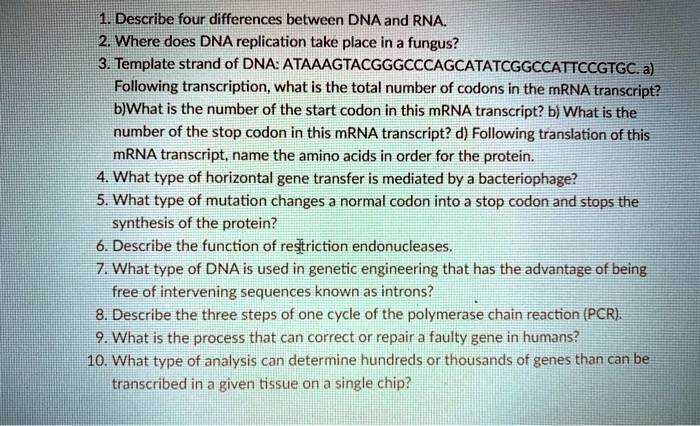 SOLVED: 1. Describe four differences between DNA and RNA. 2. Where does ...